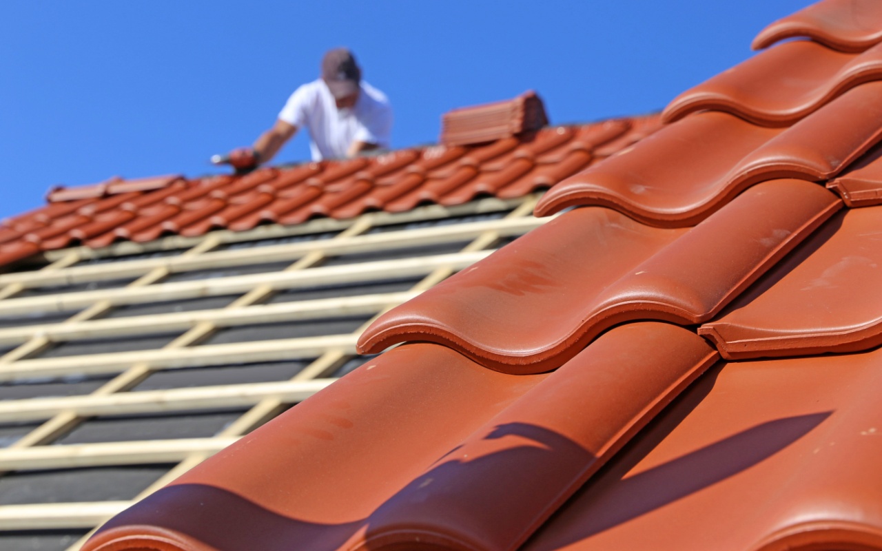 Astereala pentru acoperiș - ce este, ce să alegi între lemn și scândură ...